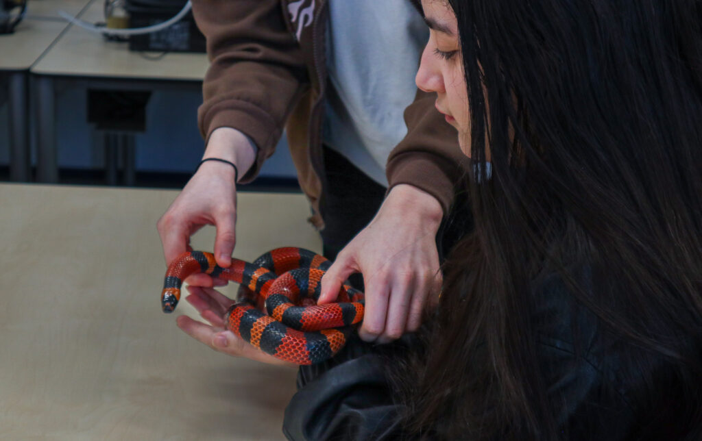 Epexmind | Workshops & Trainingen | Mentale gezondheid