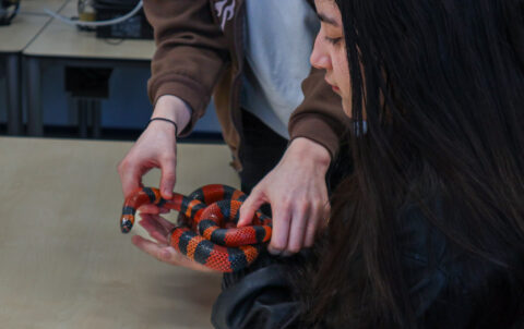 Epexmind | Workshops & Trainingen | Mentale gezondheid